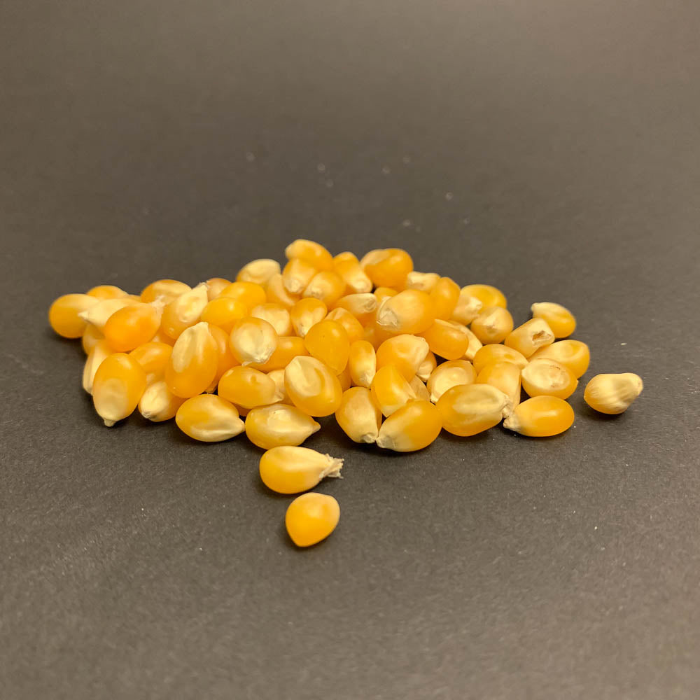 Popping Corn – Suntralis Foods