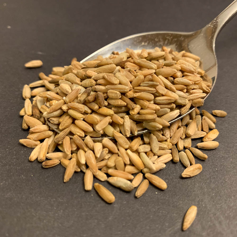 Rye Grain - Organic – Suntralis Foods